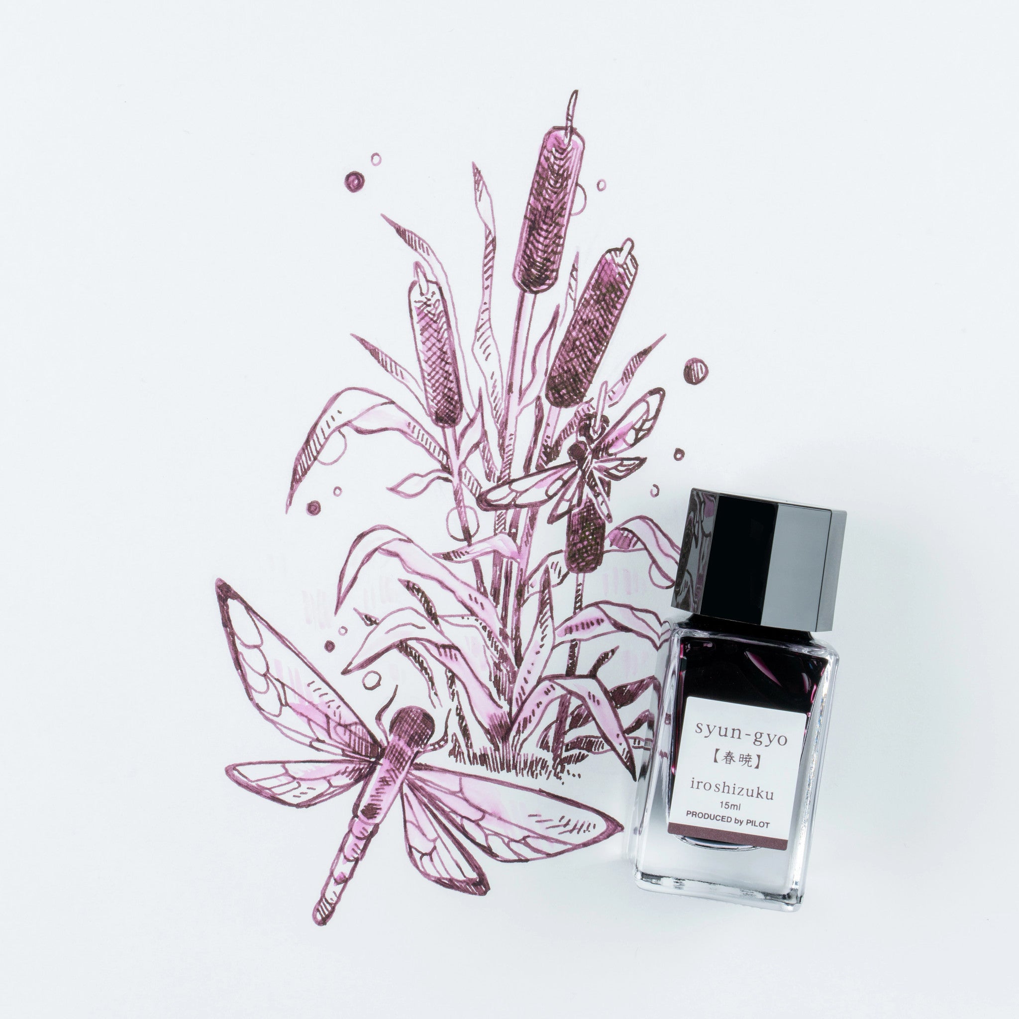 Pilot Iroshizuku Bottled Fountain Pen Ink (15ml) - Spring Dawn (syun-g ...